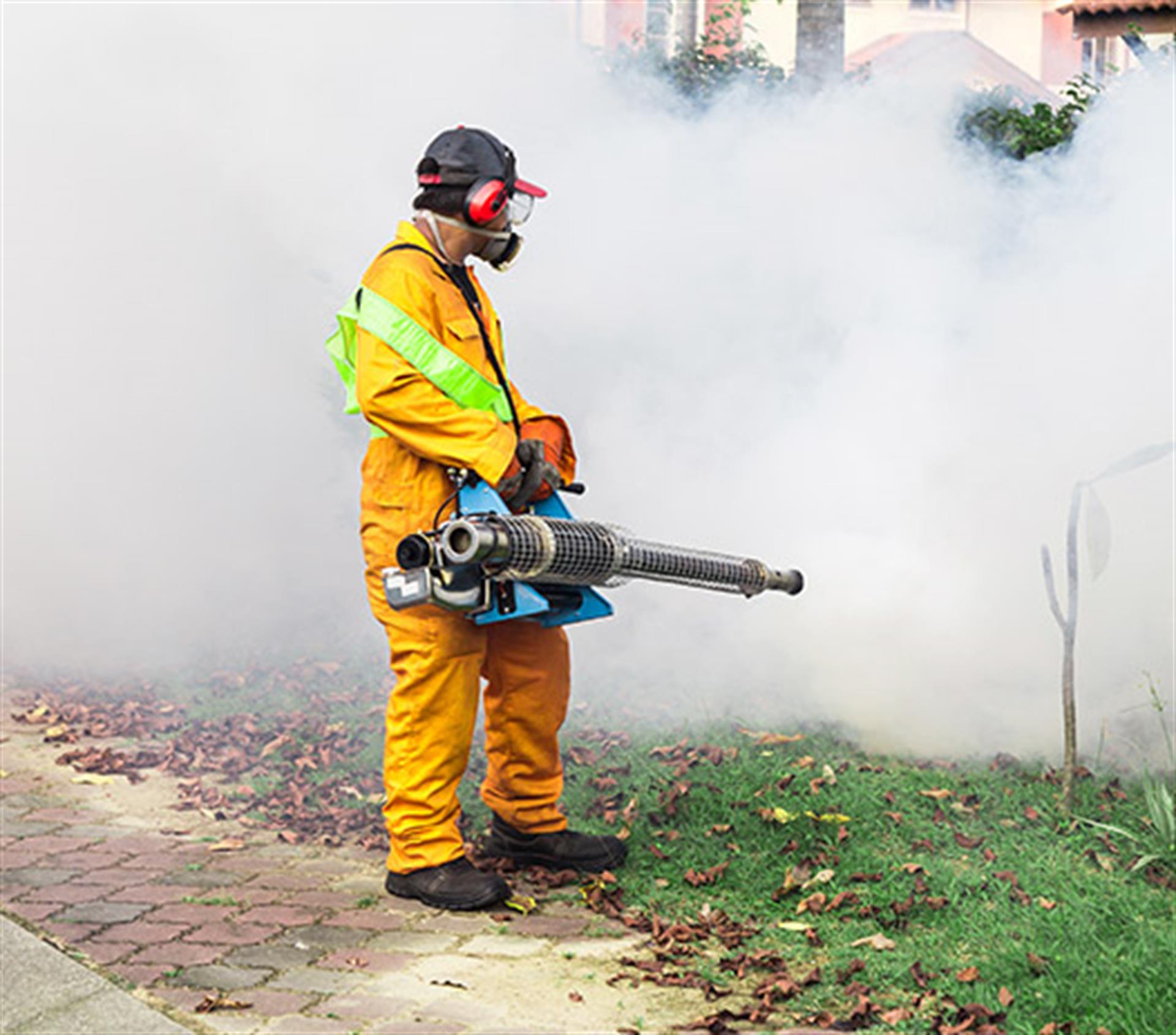 Fumigation Warehouse | Home